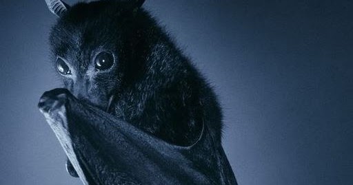 Phantoms and Monsters - Real Cryptid Encounter Reports - Fortean ...