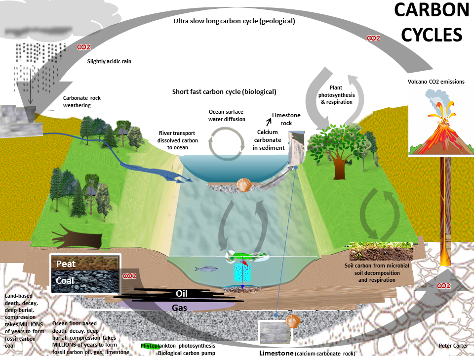 Looking at CO2 production and CO2 in the atmosphere in the same units ...