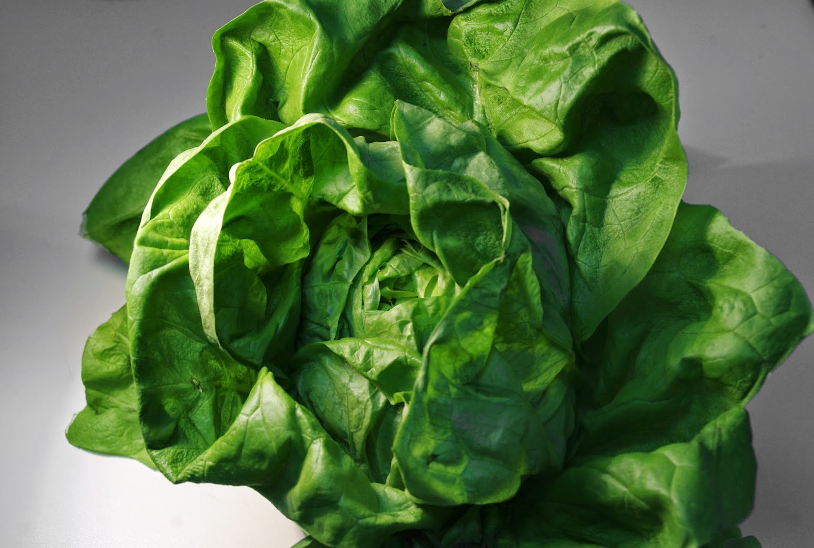 Explora Gourmet: Zumo relajante