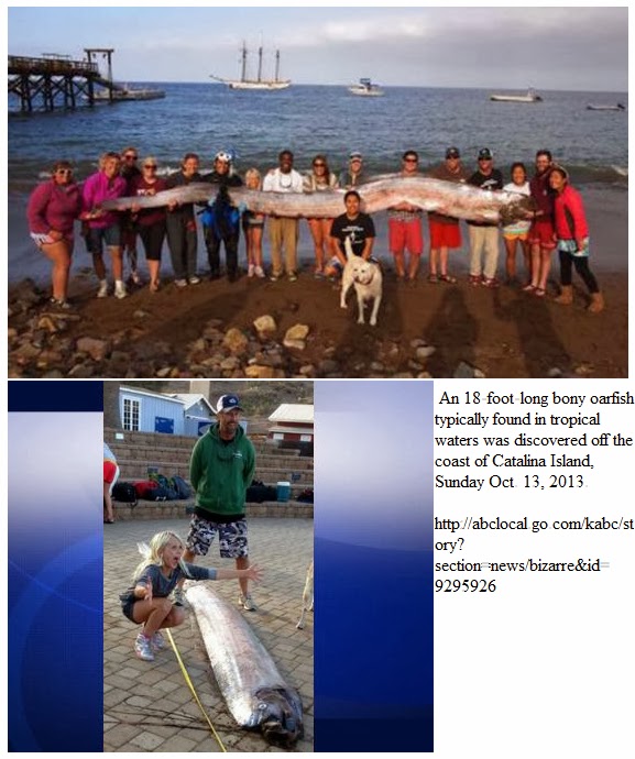 Plutonium: Characters in History - Places