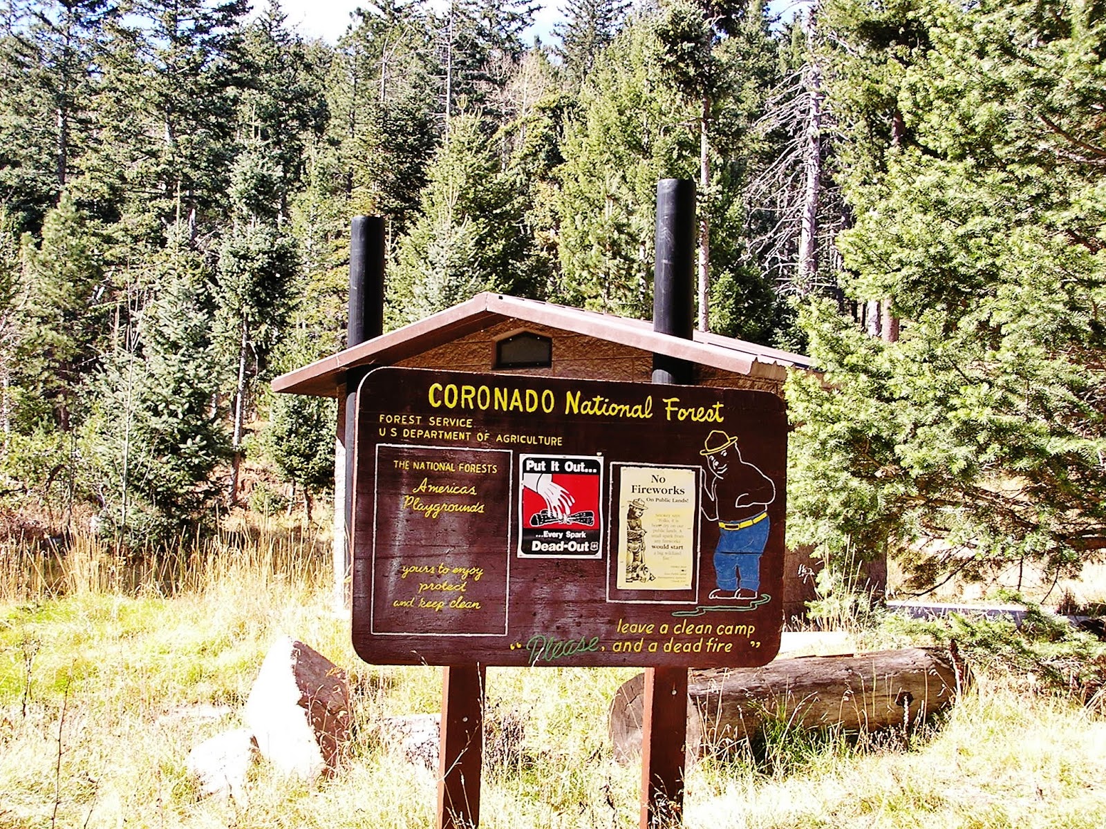 All The Good Names Were Taken: Coronado National Forest: Mount Graham ...