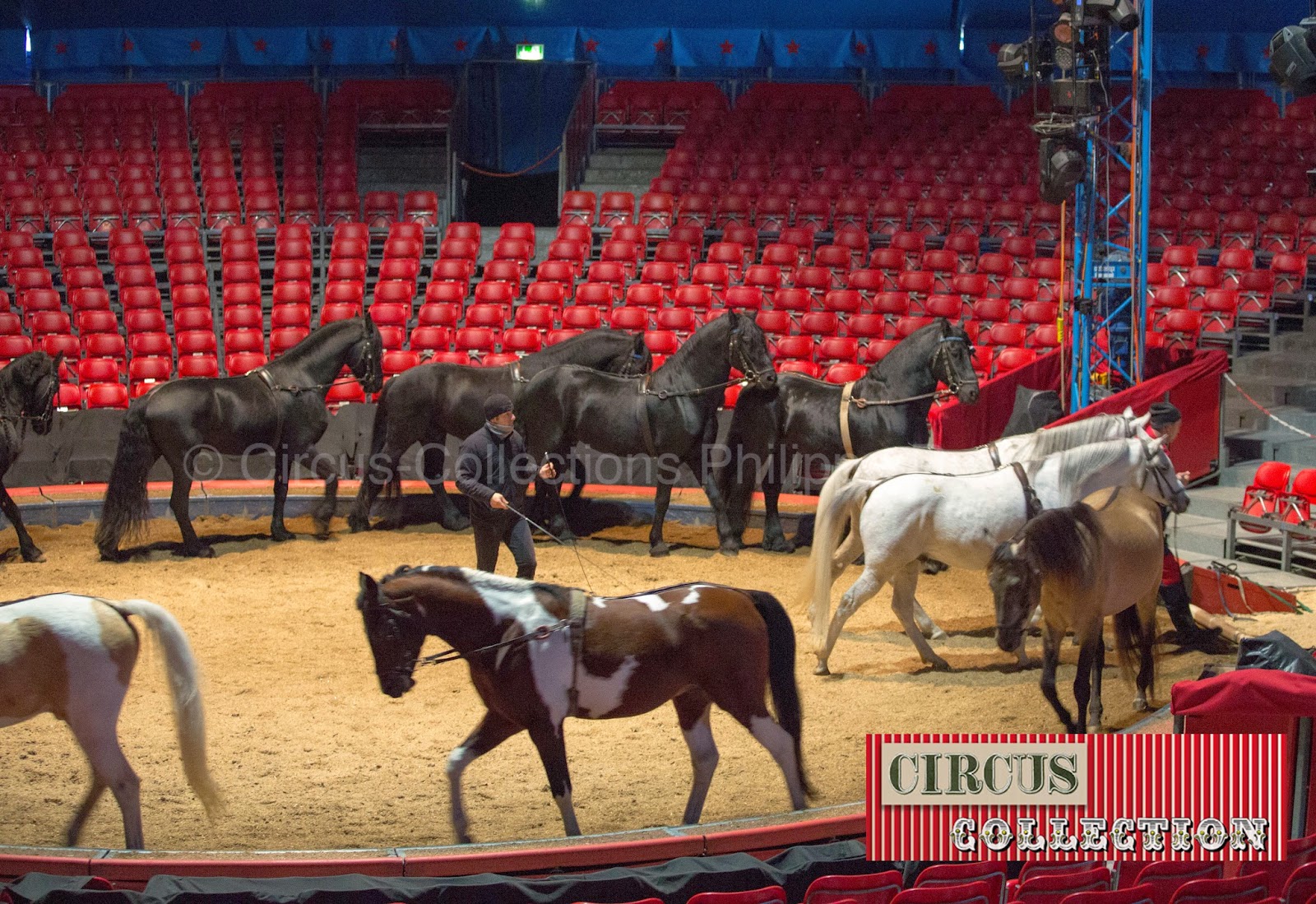 Circus -Collection: Répétition de dressage au Cirque Knie novembre 2014 ...