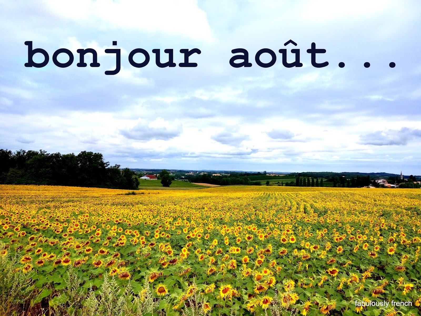 bonjour août...