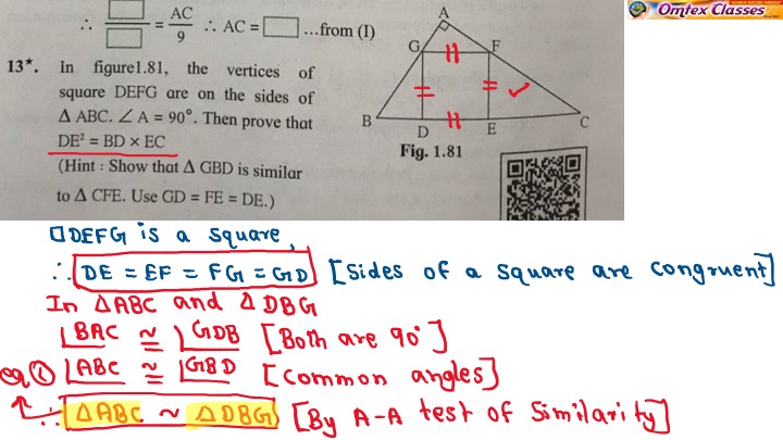 OMTEX CLASSES: Similarity, Problem Set No. 1, Maths II, SSC New ...