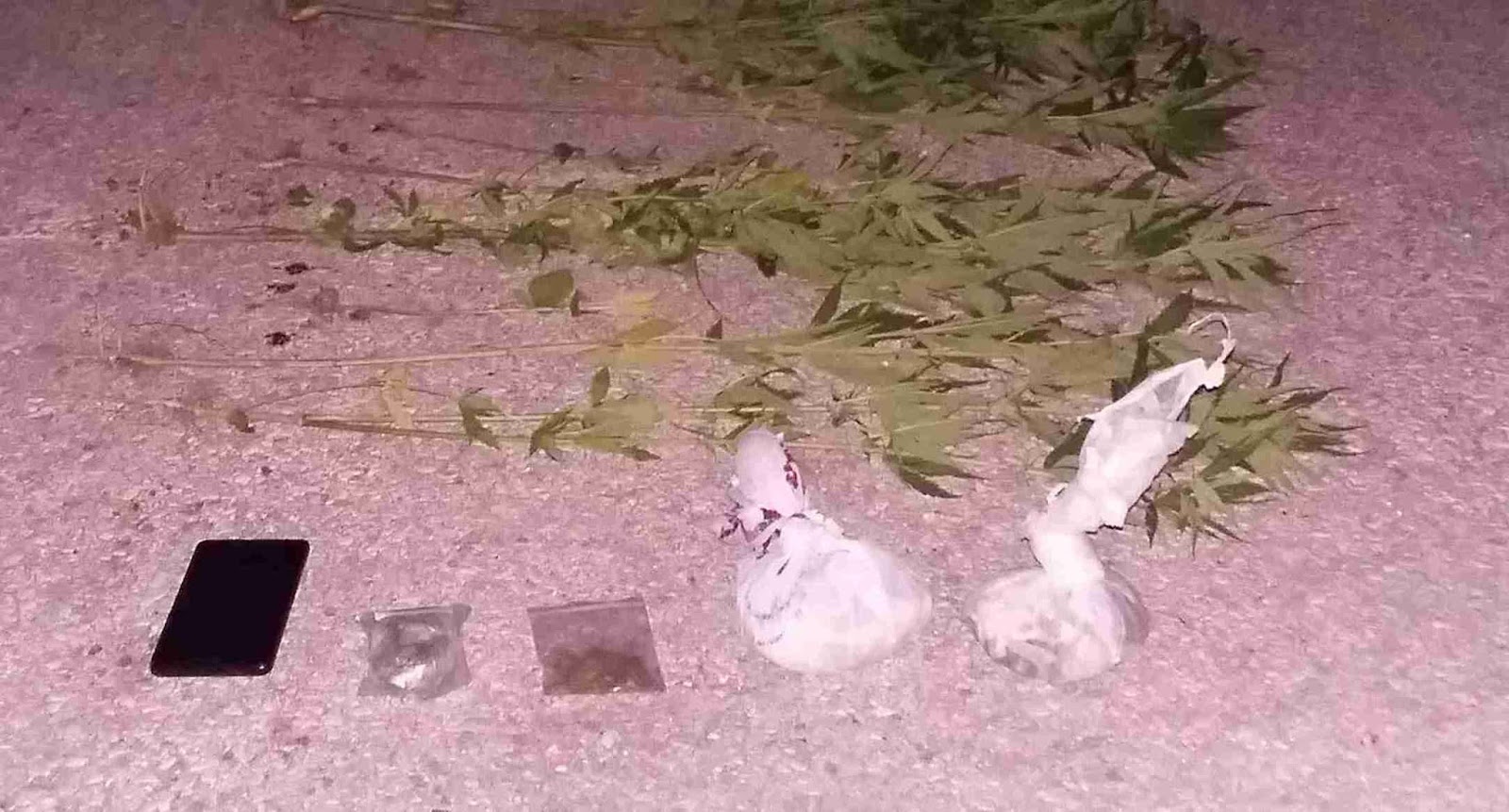 ΣΥΛΛΗΨΗ ΓΙΑ ΝΑΡΚΩΤΙΚΑ ΣΤΟΝ ΕΒΡΟ - ΚΑΤΑΣΧΕΘΗΚΑΝ 88 ΔΕΝΔΡΥΛΛΙΑ ΚΑΝΝΑΒΗΣ ...