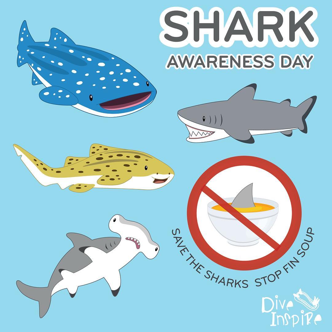 Shark Fin | About BTS Bangkok Thailand Airport Map