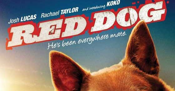 Film Guru Lad - Film Reviews: Red Dog Review (Australia Day 2013)
