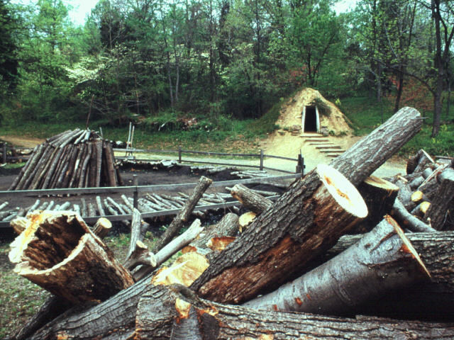 Gestión Ambiental: Sobreexplotación