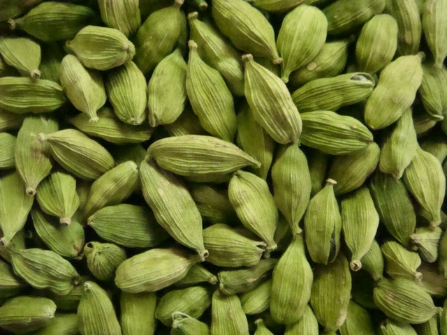 Health Tips ~ Fun and Info