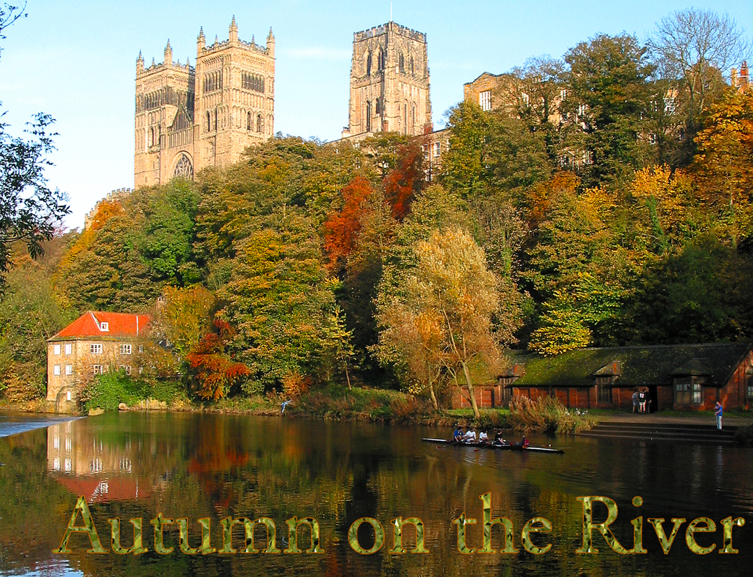 Durham Weaver: Autumn Colours