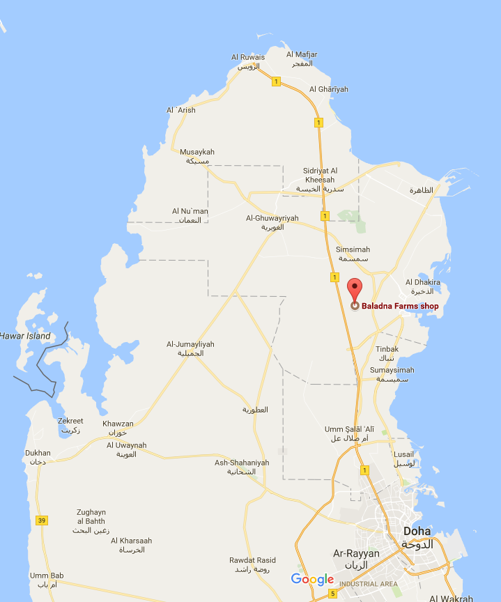 BREAKFAST AT BALADNA FARM RESTAURANT, QATAR