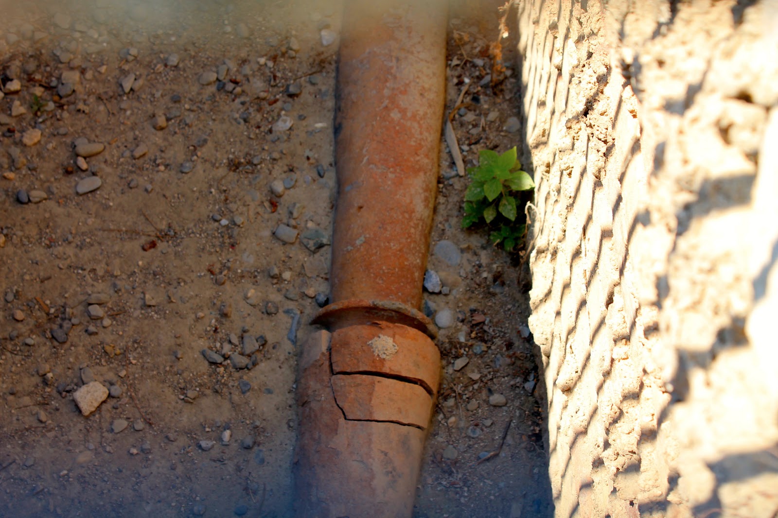 Exploracation: Stepping on History: Crete’s Knossos Palace