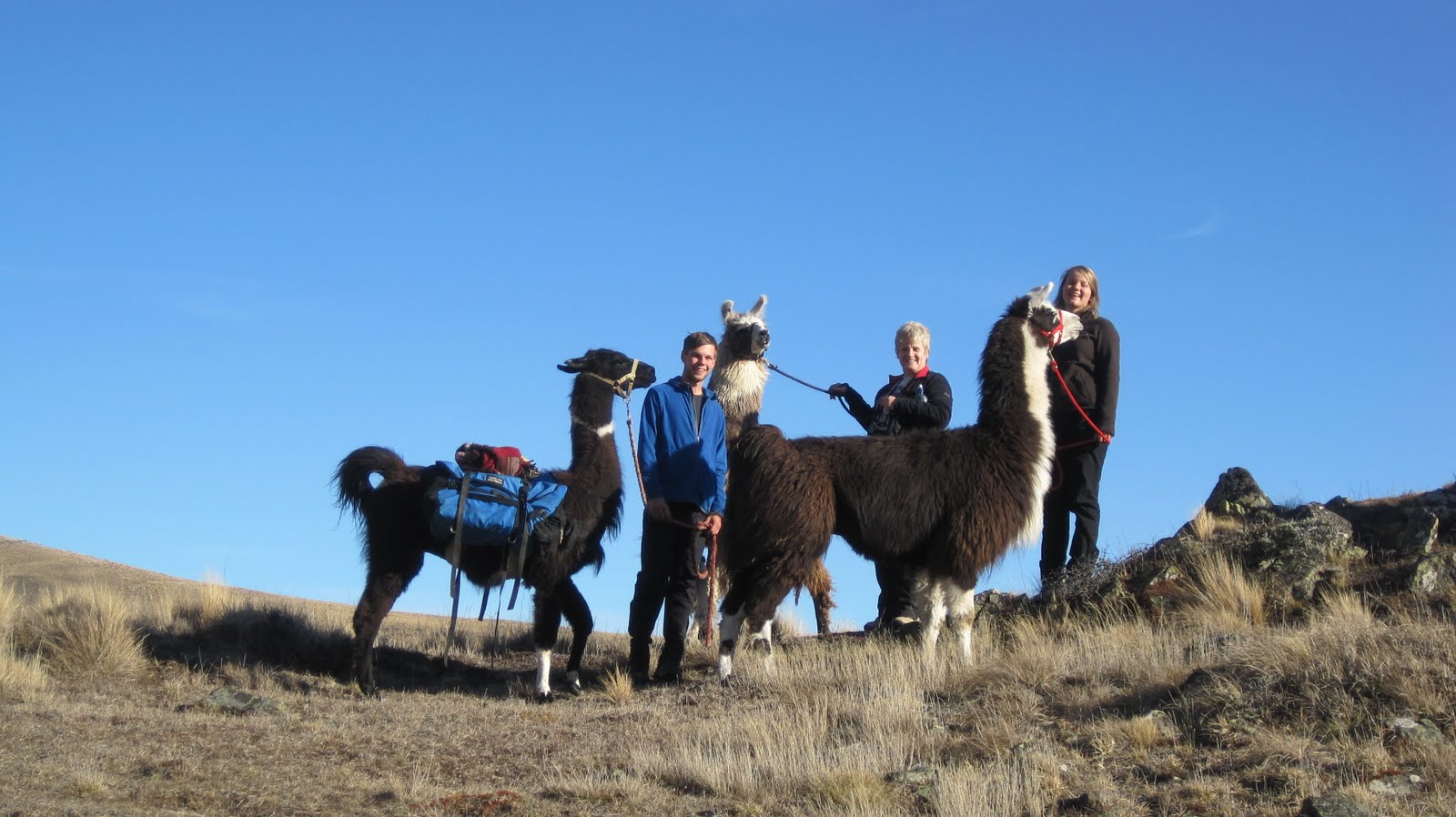 nico&sophie's kiwi experience: Lama Track