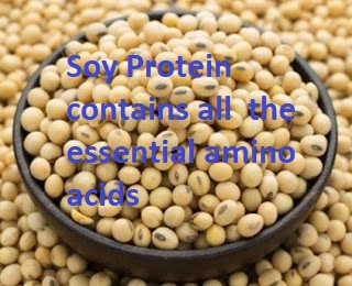 Good Health & Nutrition by Odra: Soy Protein: Contains High Amounts of ...