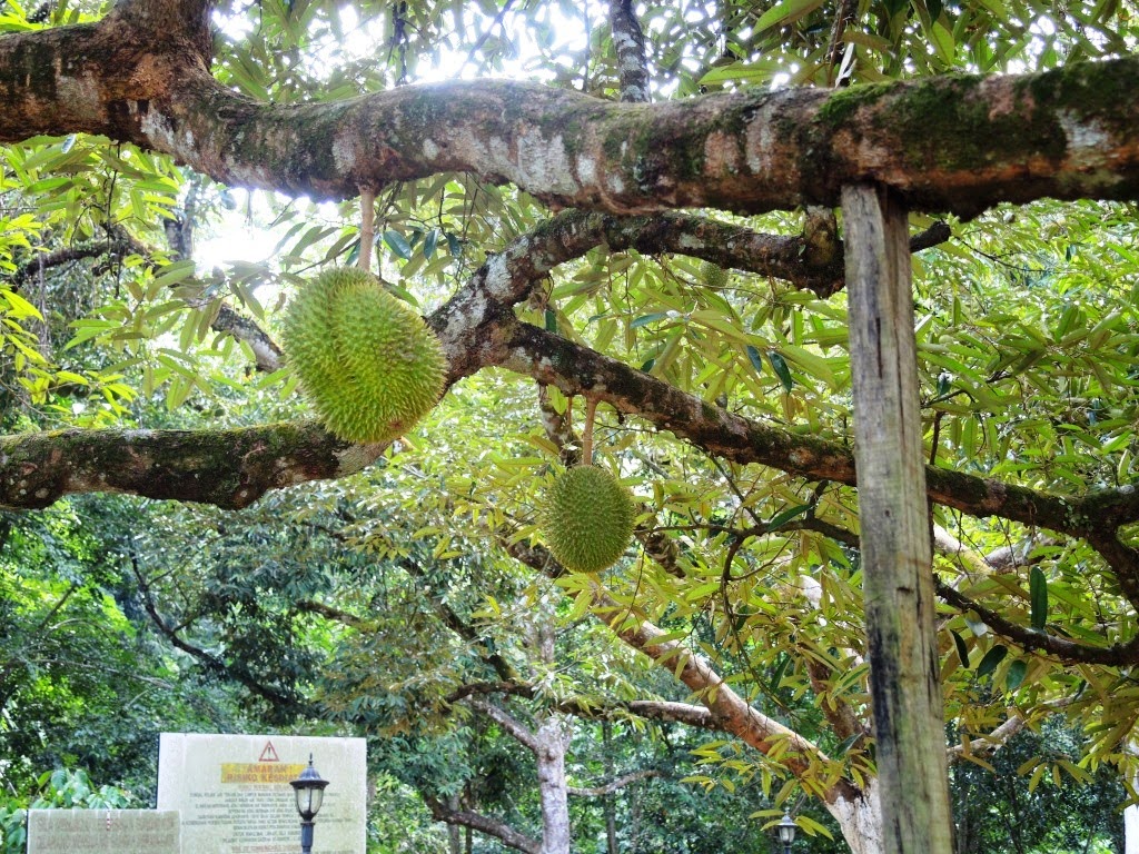 Everything and Anything !: Refreshing Spring Resort, Kalumpang, Hulu ...