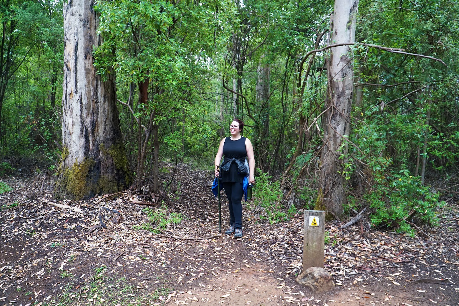 Deep River Walk Trail (Walpole-Nornalup National Park) ~ The Long Way's ...