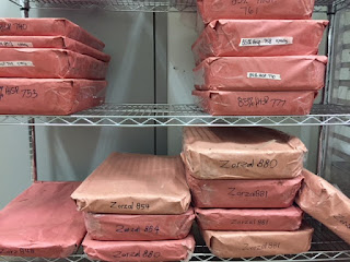 The Ultimate Chocolate Blog: The #1 Reason to Visit Almonte, Ontario