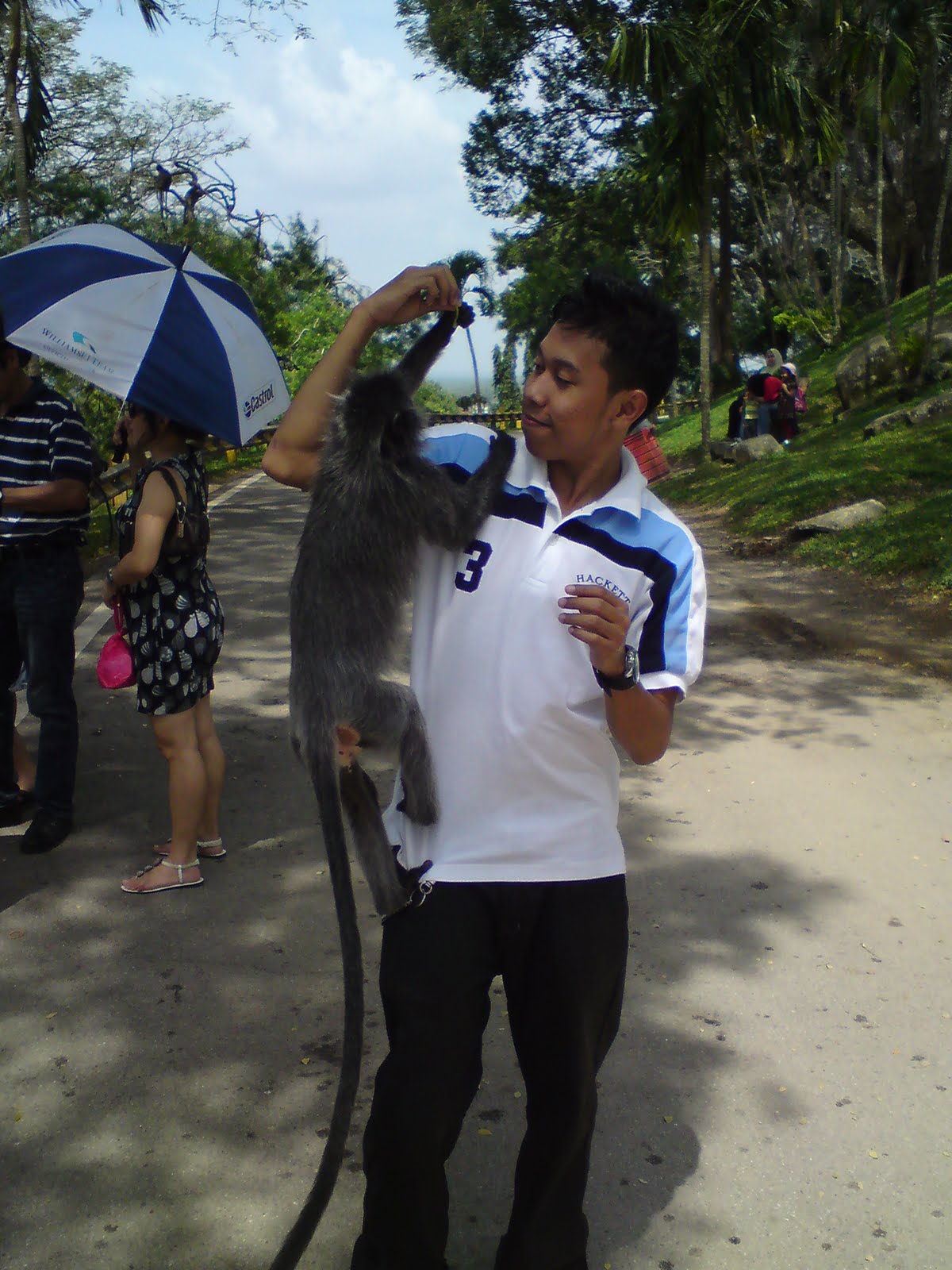 i love animals: A MONKEY LOOK JUST LIKE HUMAN