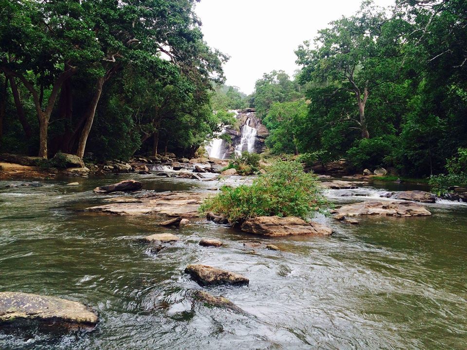 Chinnar wildlife sanctuary in Ernakulum - avalshe98