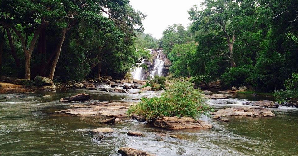 Chinnar wildlife sanctuary in Ernakulum - avalshe98