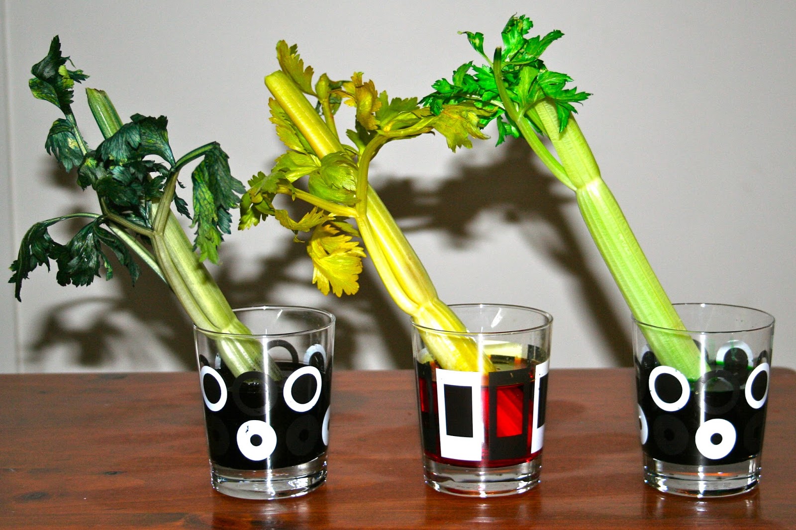 Early Childhood Blog: Celery 'Drinking' Experiment