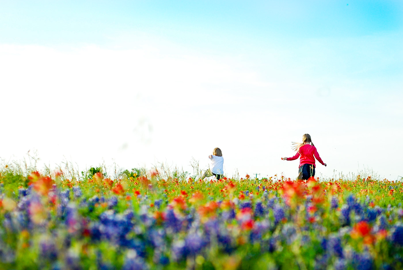 3 Tricks to Taking Awesome Pictures in the Full Sun - Key To Pictures