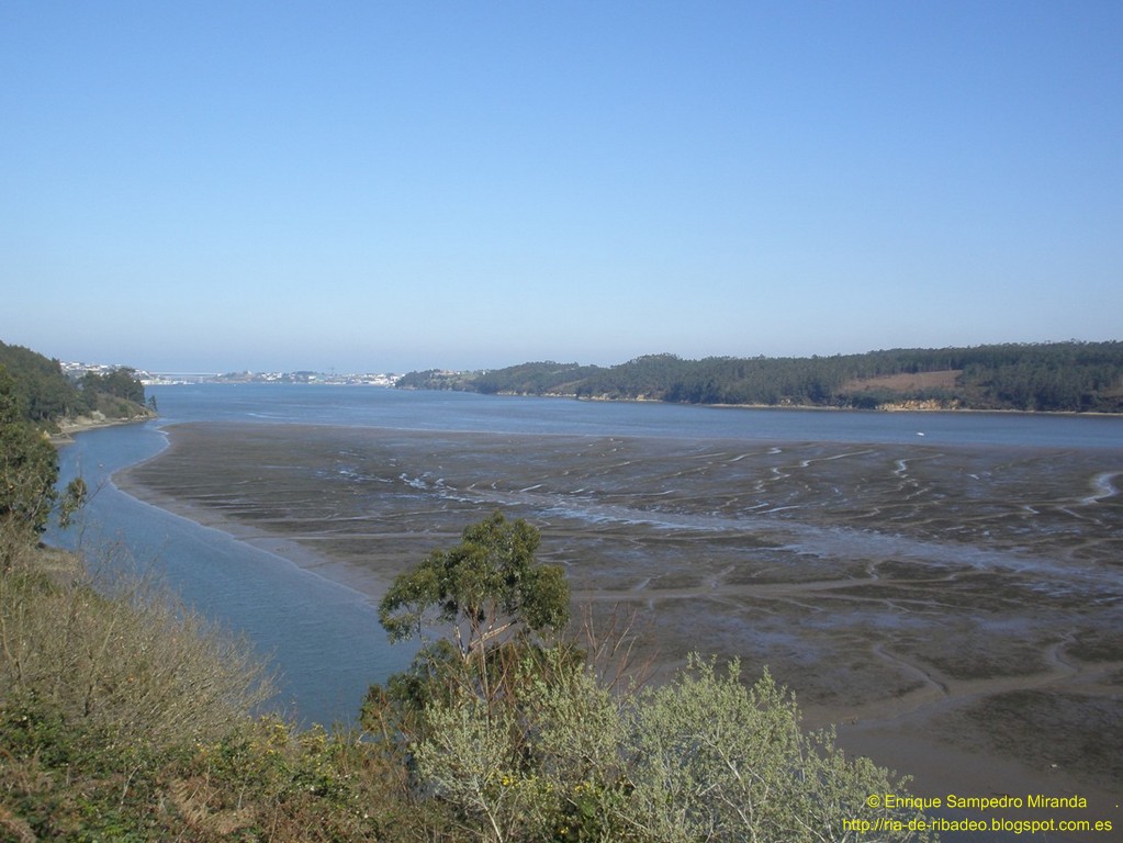 Ría de Ribadeo: A ría de Ribadeo na lista dos espazos Ramsar ameazados