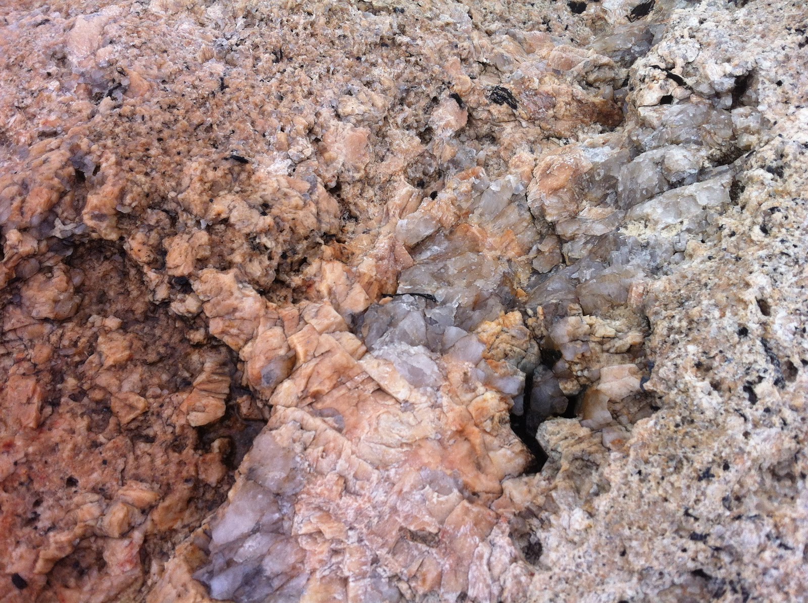 Rocky Neck State Park – This Old House 2