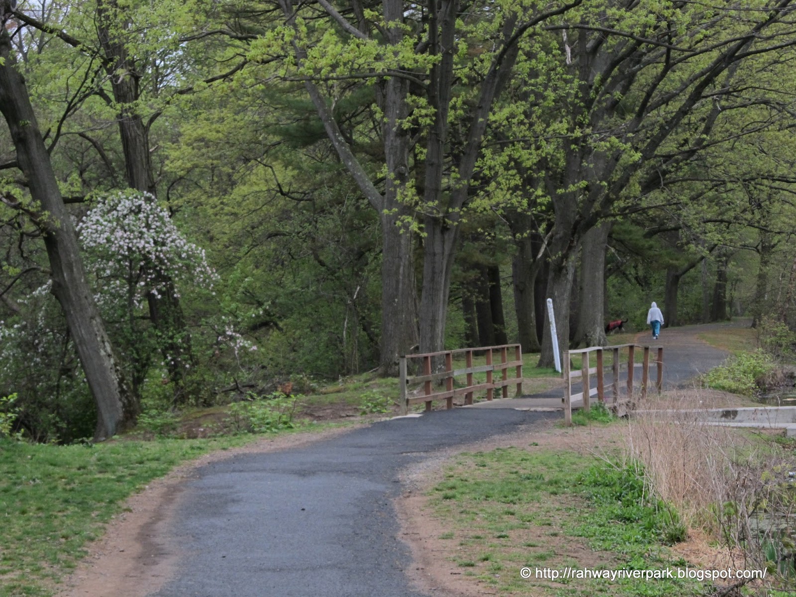 4 seasons in the life of Rahway River Park: Apple Trees in Bloom on a ...