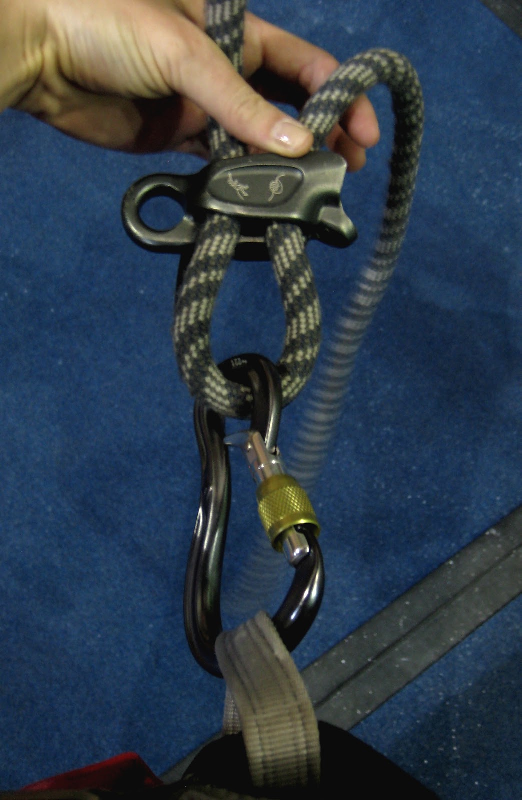 Question about the Black Diamond gridlock belay carabiner : r/climbing