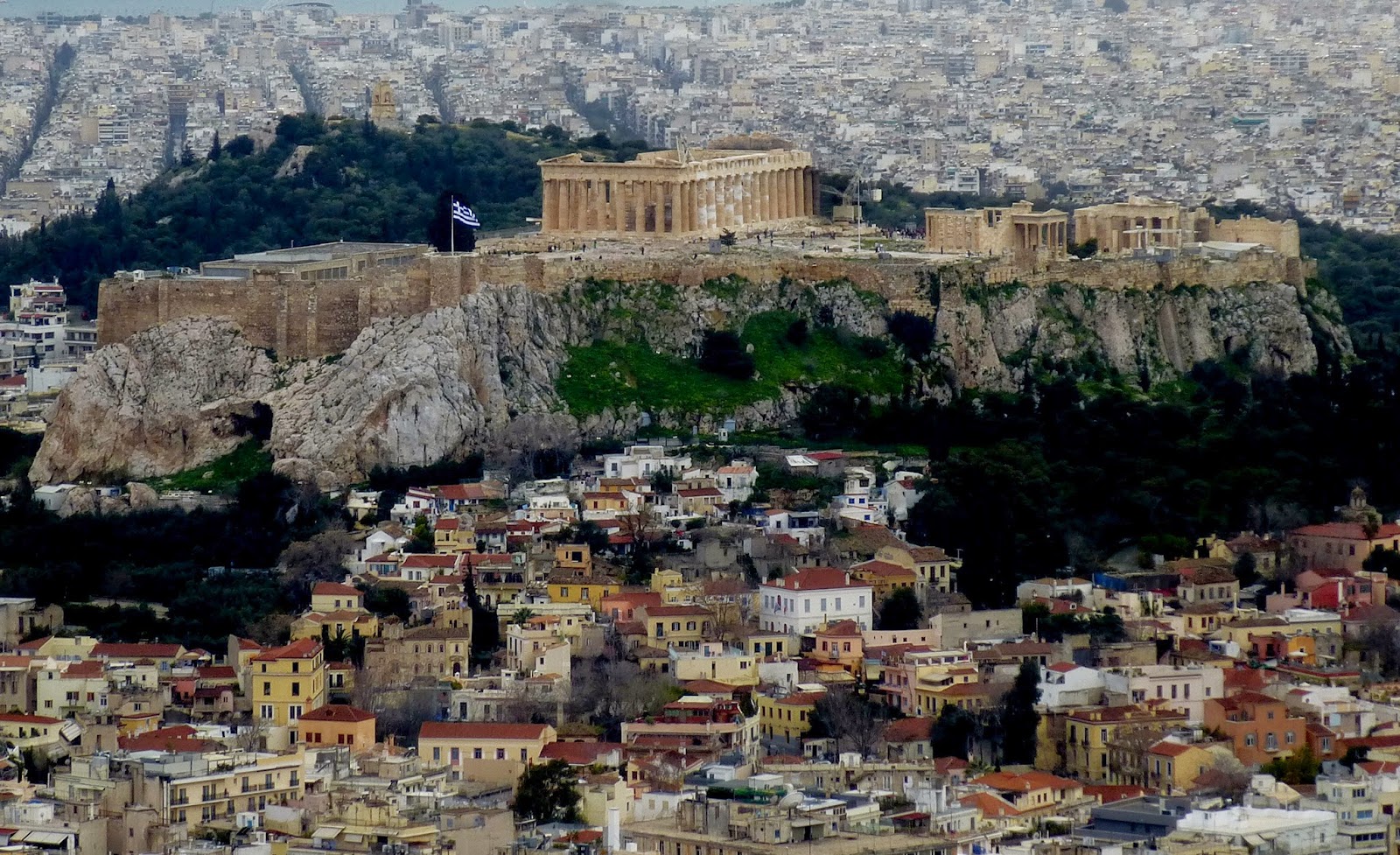 Φυτολόγιο: Μικρομέρια της Ακρόπολης ( Micromeria acropolitana )