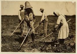 Cajas de Carton: Cajas de cartón por Francisco Jiménez