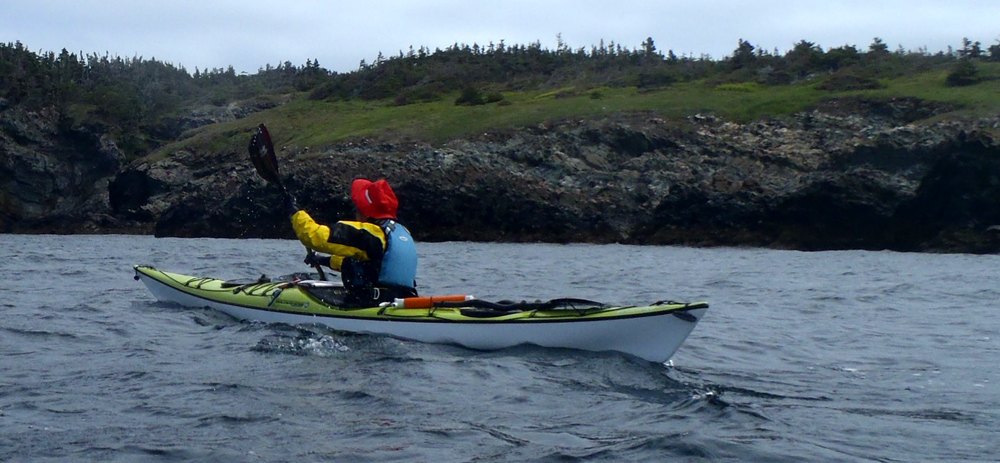 My Newfoundland Kayak Experience: Great Colinet Island (2016) Part 3