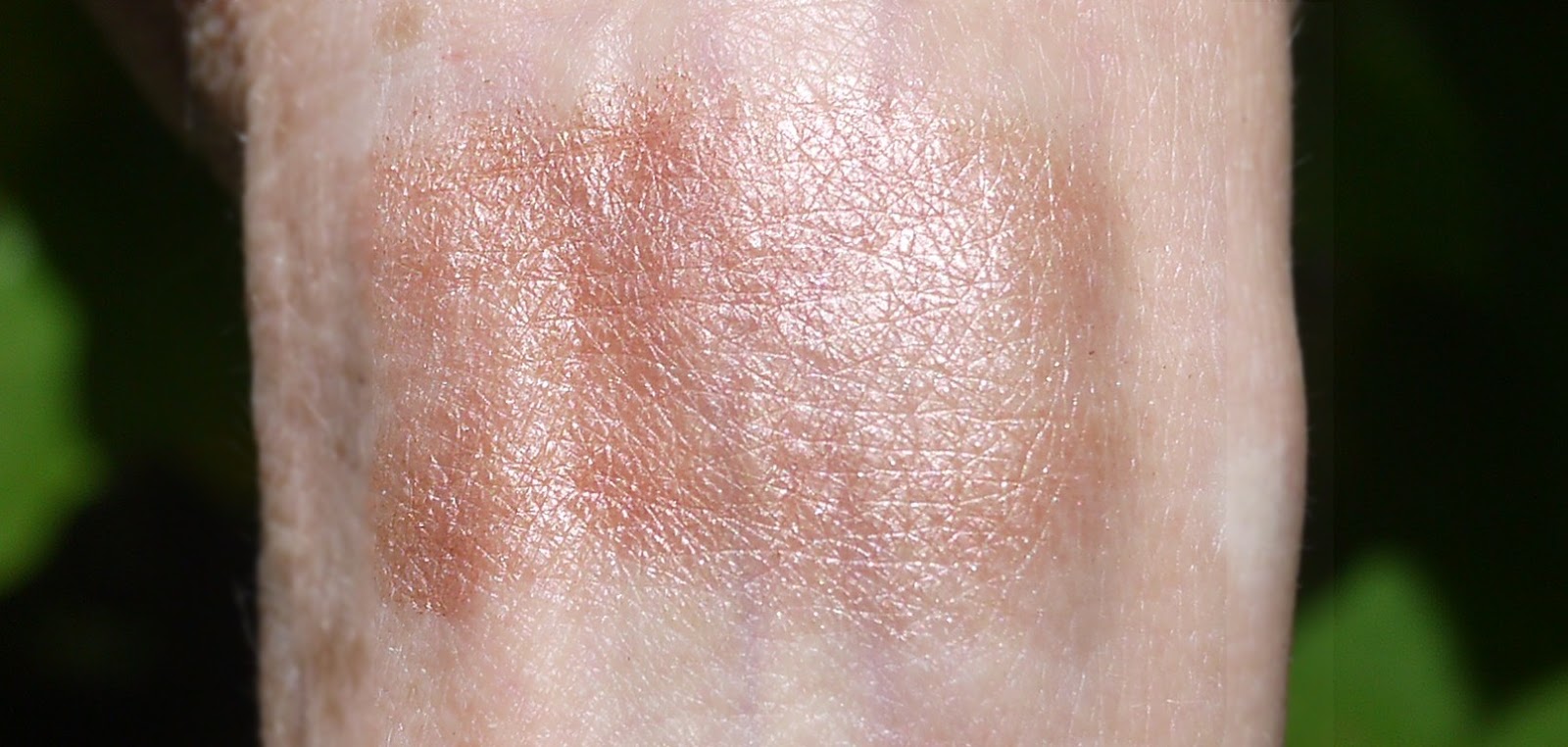 Best Things in Beauty: Edward Bess Threads of Silk Multi-Use Powder