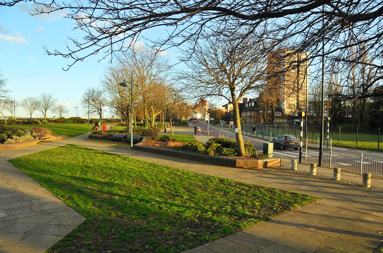 Arthur Pewty's maggot sandwich: Poppies in the Riverside Gardens.