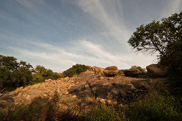 Journey of Joy: Daroji Bear Sanctuary – 26th November 2008