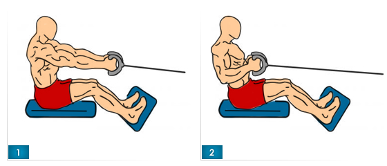 FitLucy's blog: Posilovna - moje tréninky - Záda+lýtka