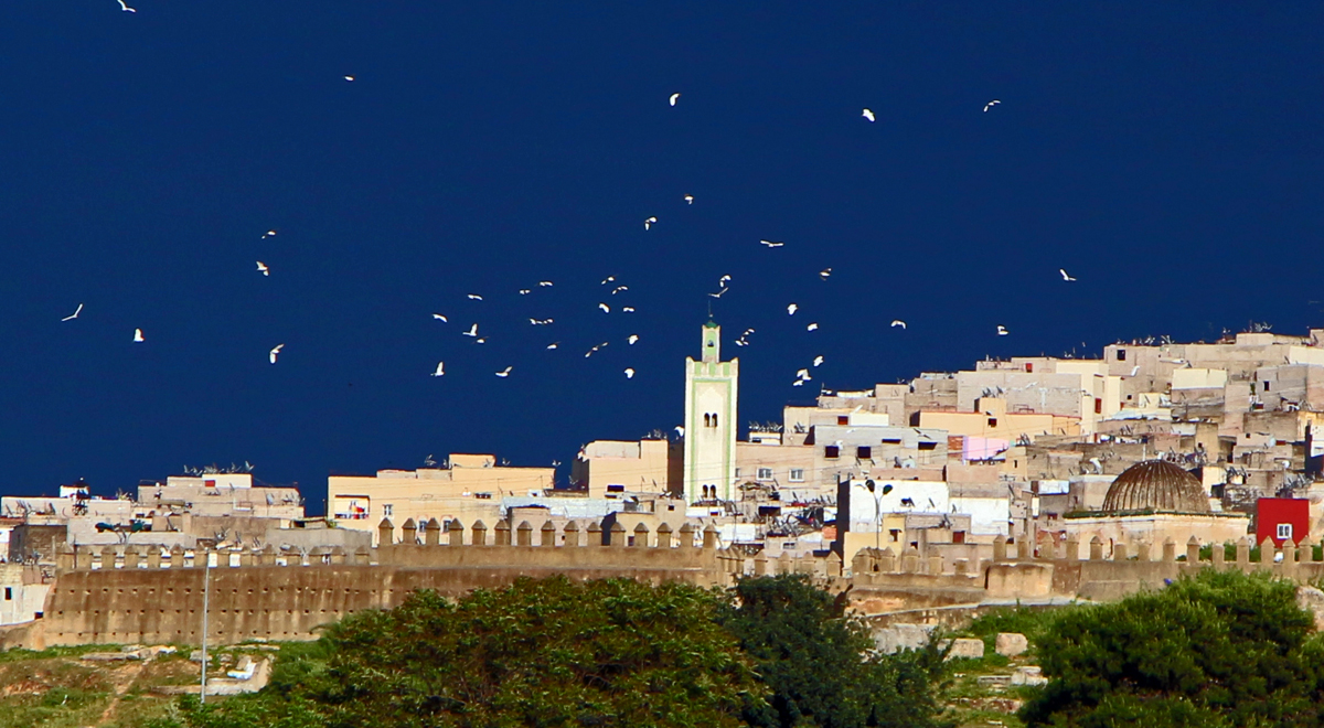 THE VIEW FROM FEZ: April 2013