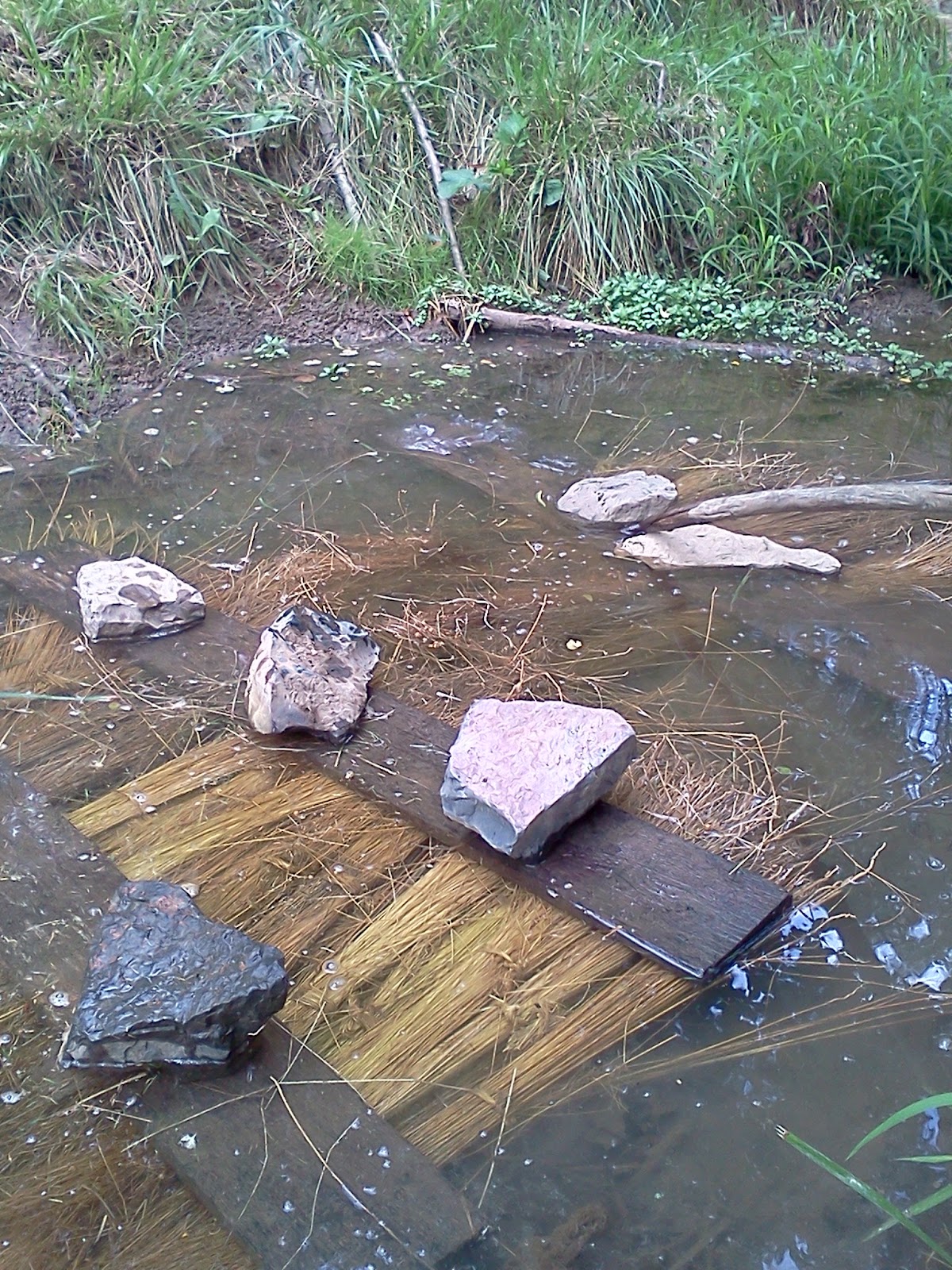 Frontier Culture Museum of Virginia: Retting Flax