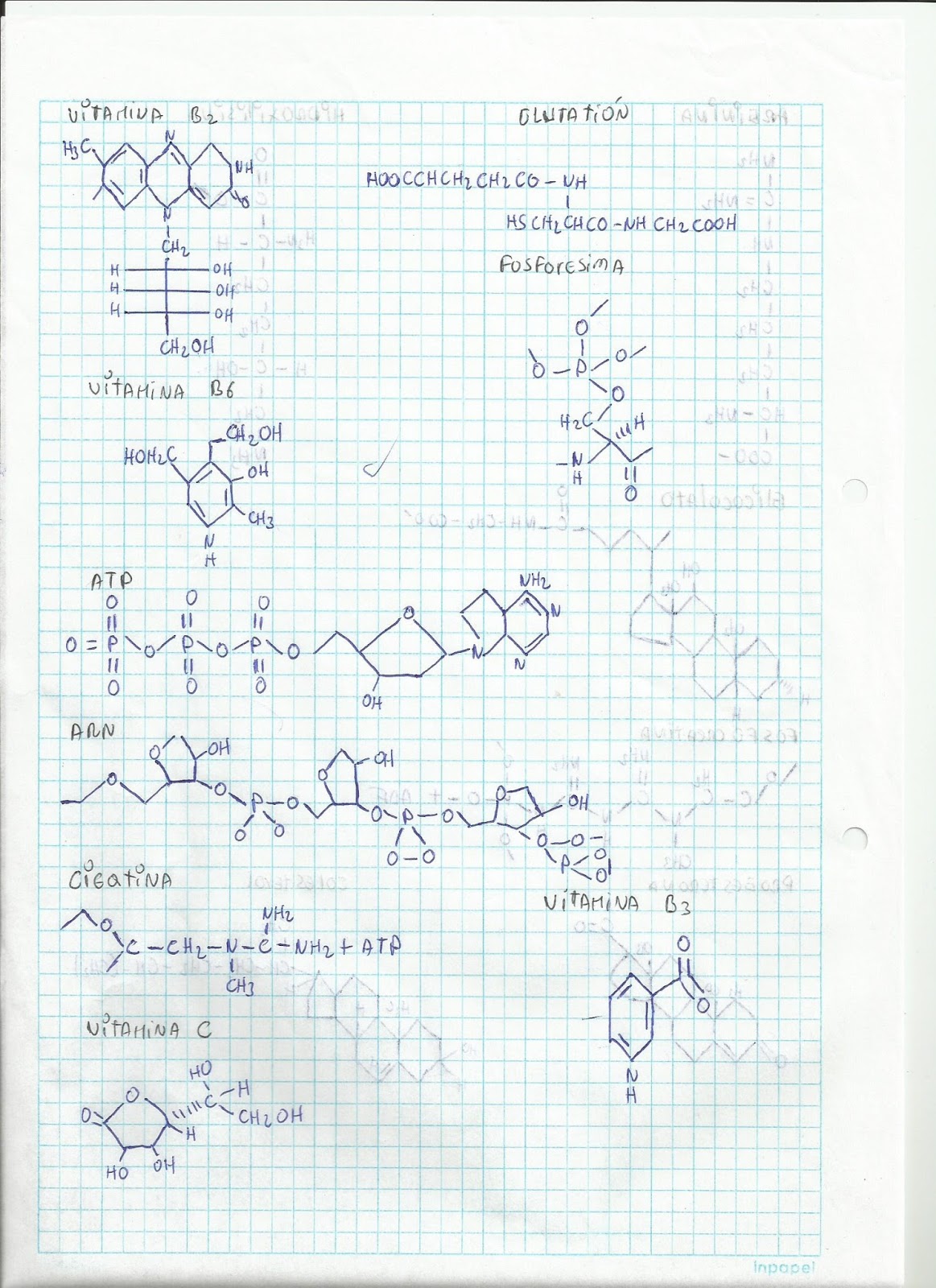 CATEDRA DE BIOQUIMICA: FORMULAS DE BIOQUÍMICAS