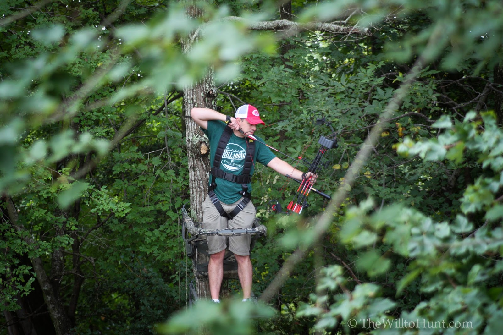 Project Gridless: Bowhunting Equipment Basics