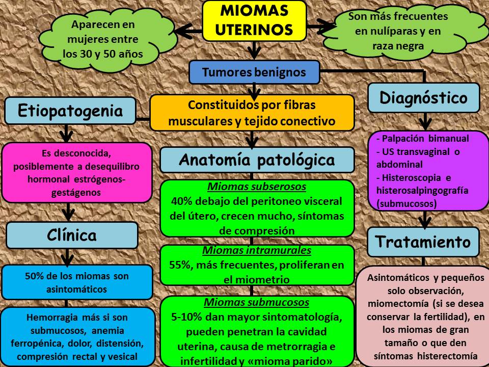 Blog de Ginecología: Miomas uterinos