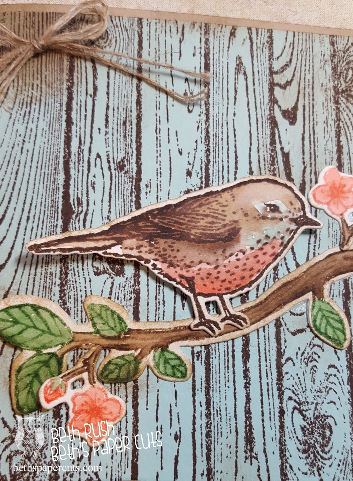 Beth's Paper Cuts: More Birds~ Best Birds Stamp set