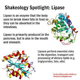 Lindsay Bauer Wellness: Shakeology Spotlight - Lipase
