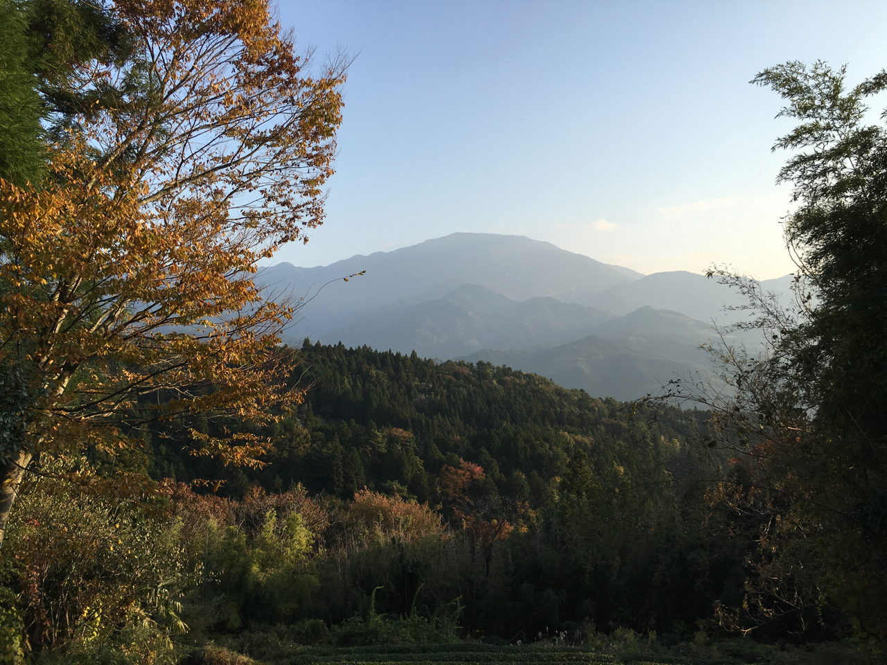 Murder is Everywhere: One Hundred Summits - Plus One More