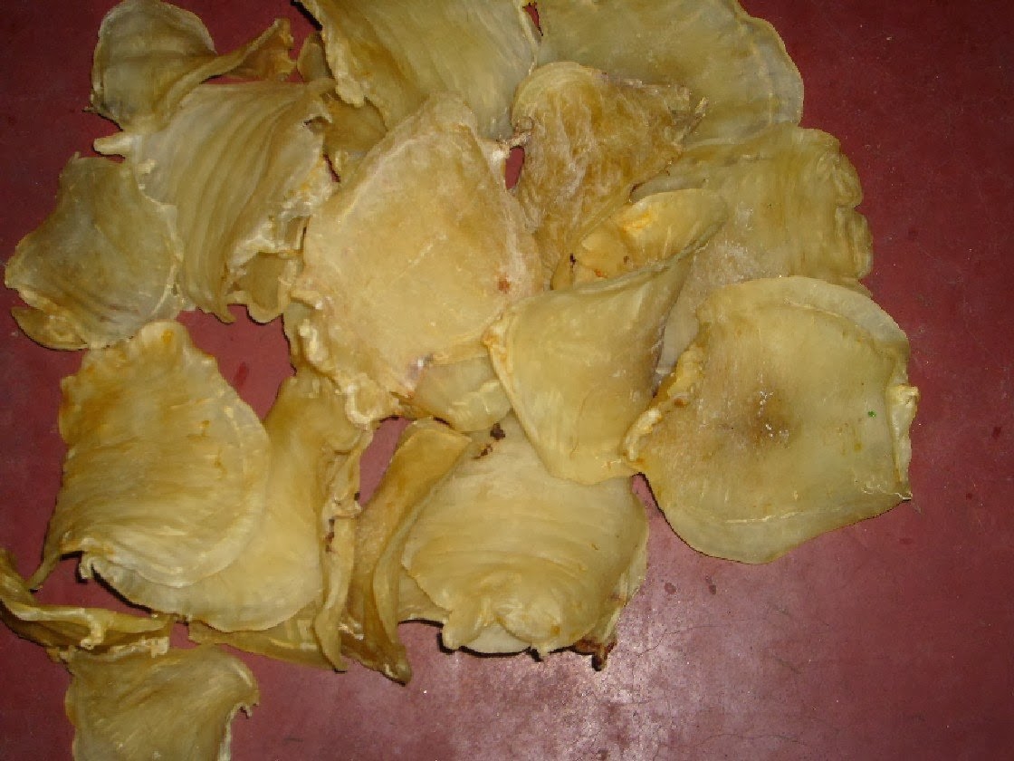 What is The Fish Maw - Alfa Enterprises (PVT) Ltd. Welcome to Sri Lanka