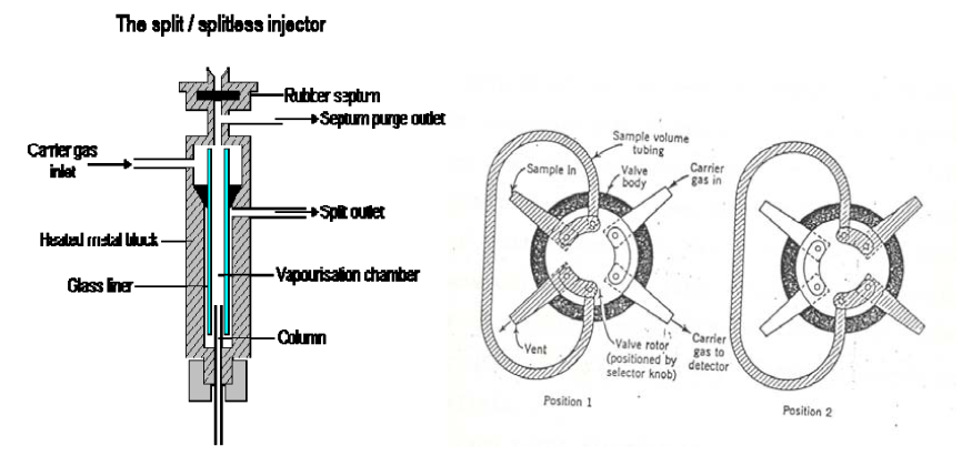 Health and Nutrition Corner: Summary GC