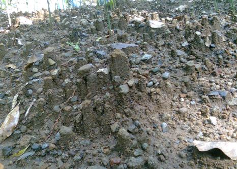 Bentuk-Bentuk Erosi - Geograpik