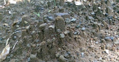 Bentuk-Bentuk Erosi-TERLENGKAP