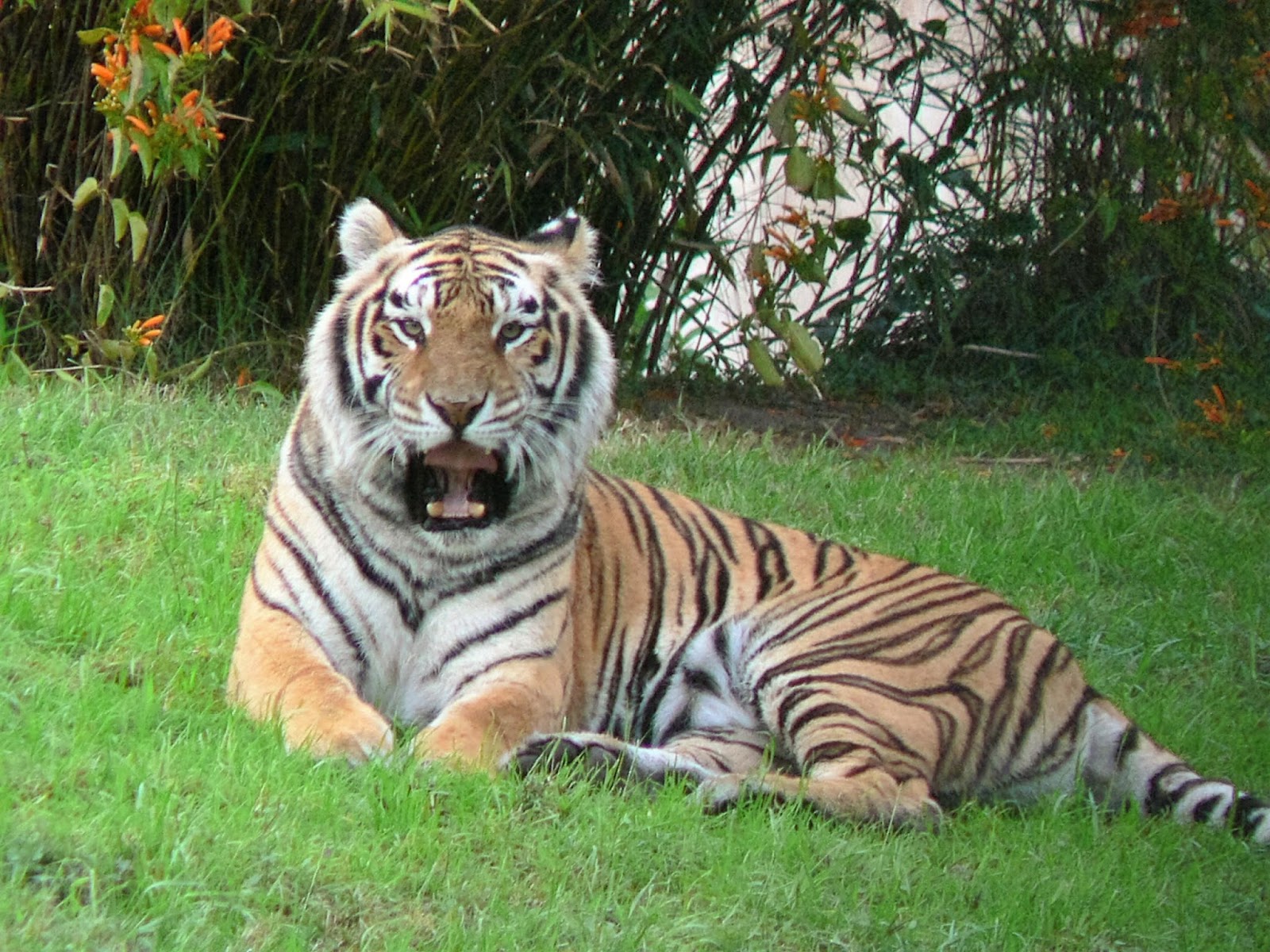 Sheraton Norfolk: Visit the Virginia Zoo